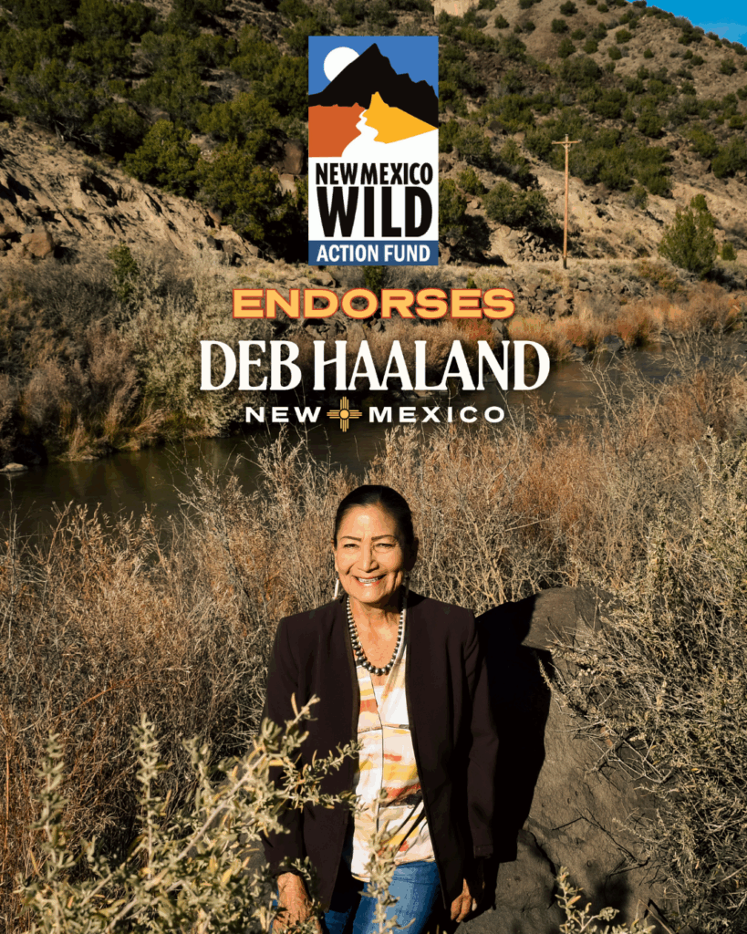 Deb Haaland Receives Endorsement From Key Land Protection Organization ...